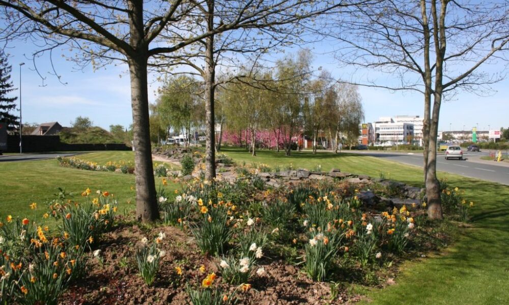 Label 4 fleurs. Plus d’un mois pour que Trélazé brille de toutes ses ...