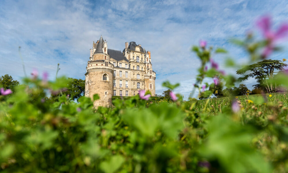 Destination Anjou Vignoble et Villages : 2 châteaux du Val de Loire à ...