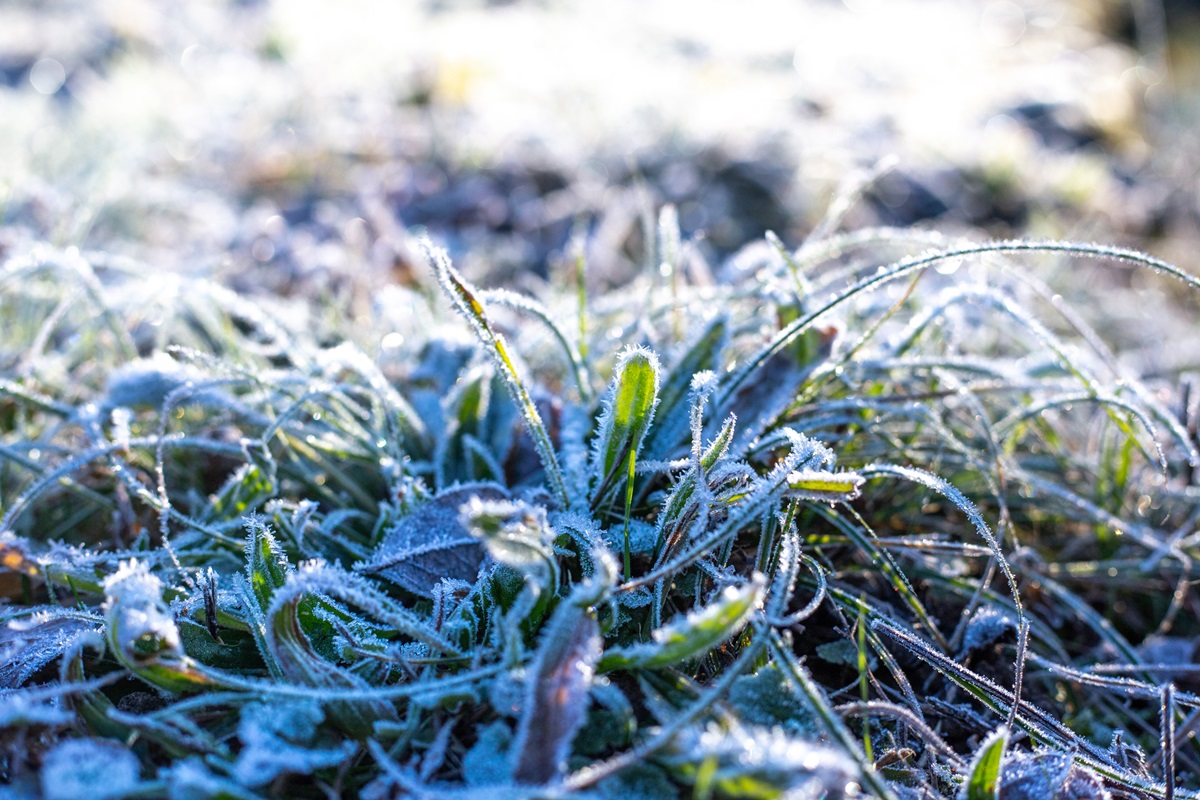 La Roche-sur-Yon : une personne retrouvée morte après une nuit marquée ...